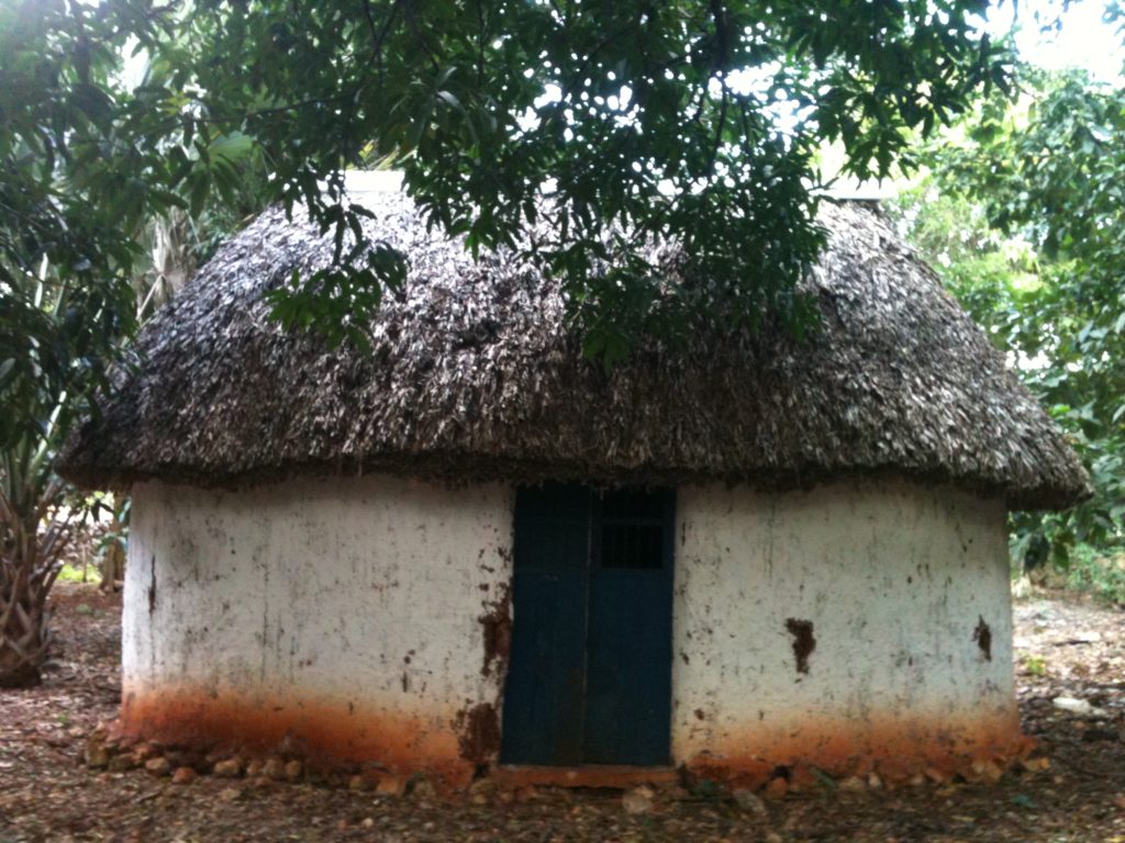 Home | Franc Camara